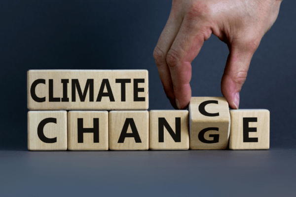 How achieving climate neutrality of your business helps to combat ...