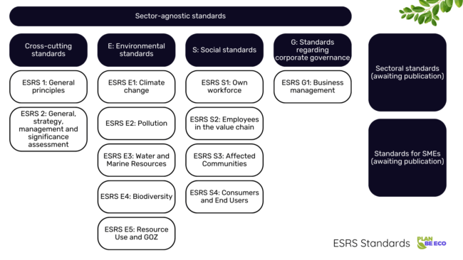 The key importance of European Sustainability Reporting Standards (ESRS ...