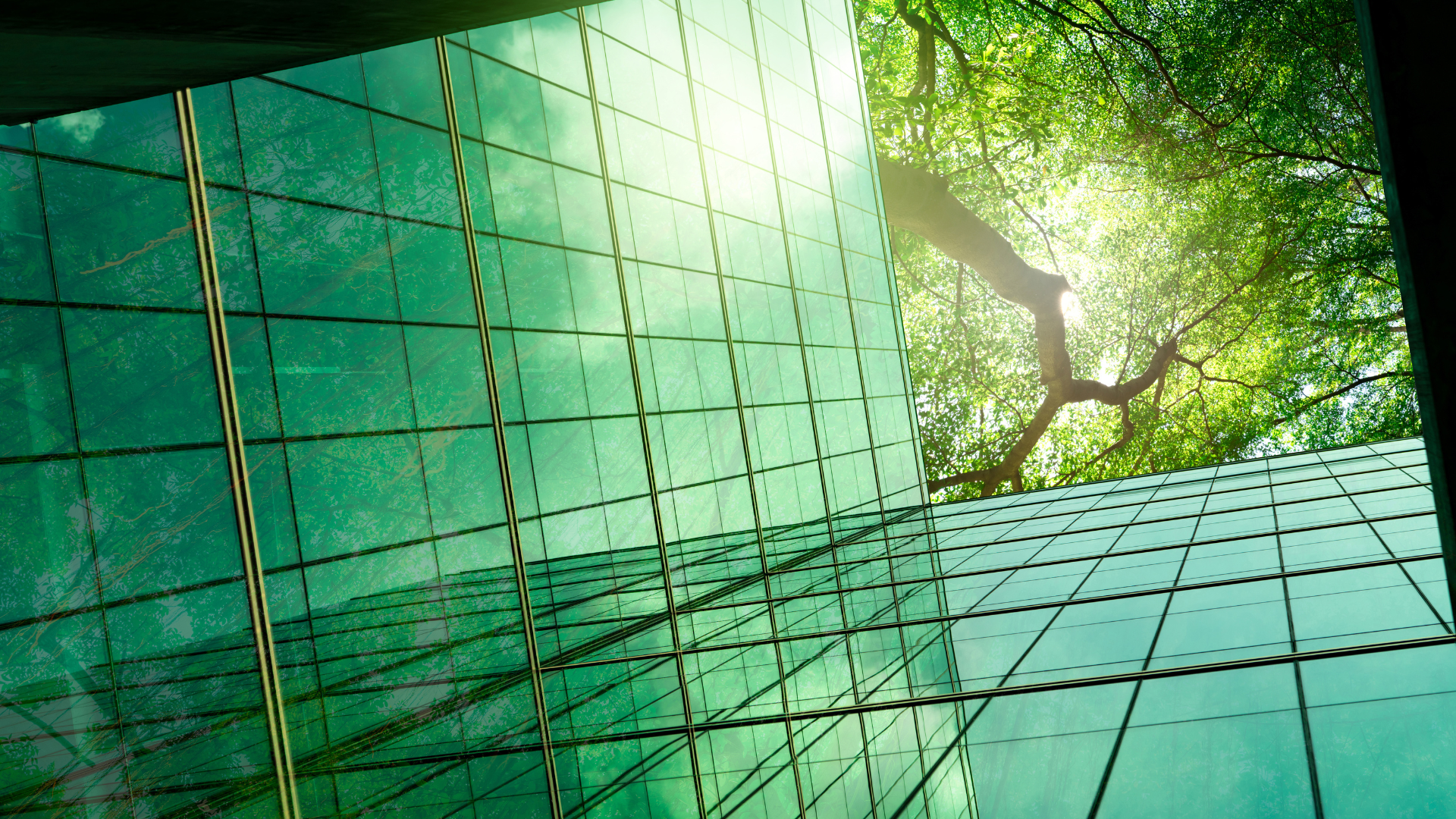 Top Trends in ESG Reporting for the Real Estate Industry - Plan Be Eco